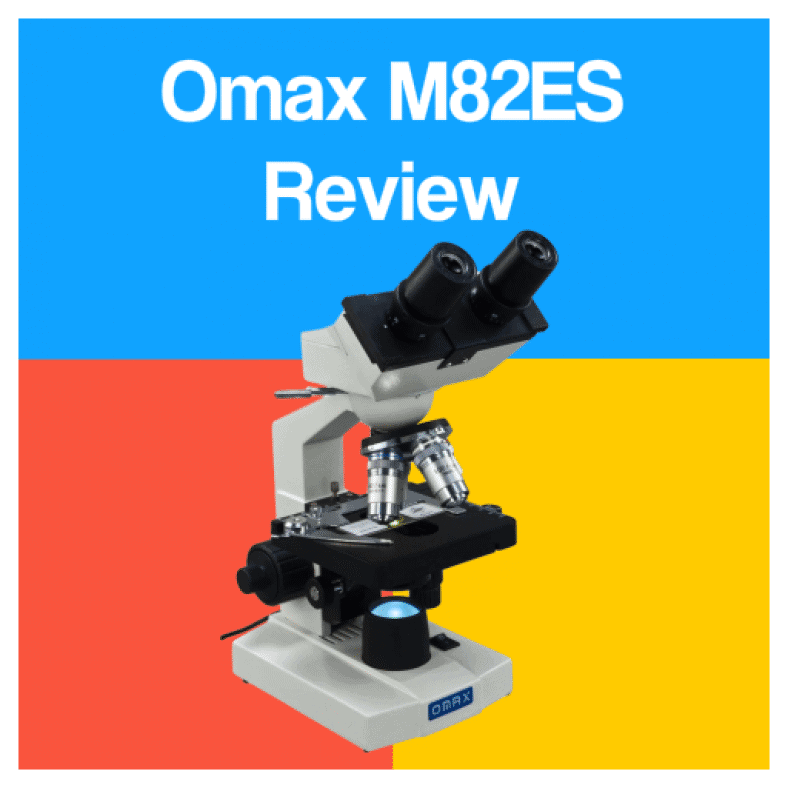 Best 9 Amscope Microscopes Reviewed for 2023
