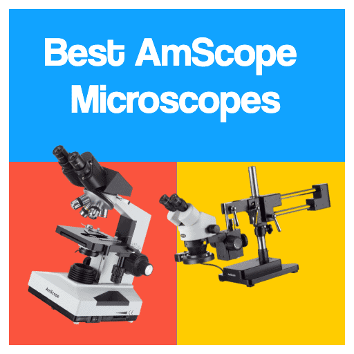 Best 9 Amscope Microscopes Reviewed for 2023