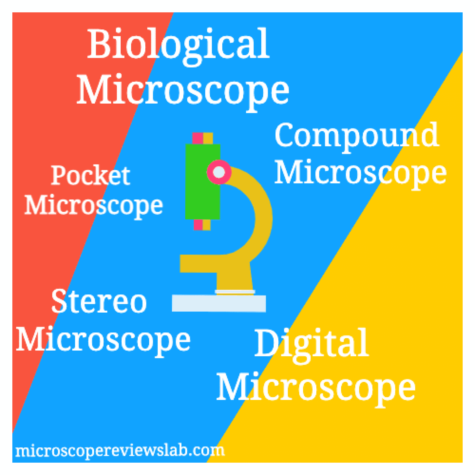 Types of Microscopes and Their Applications [2025 Update]
