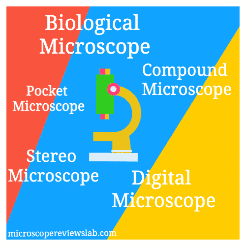 Types of Microscopes and Their Applications [2025 Update]
