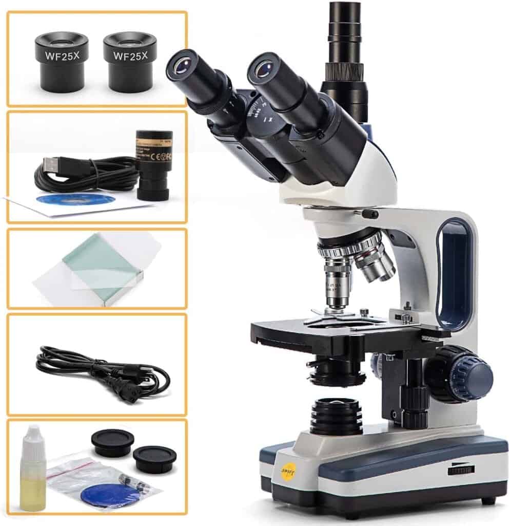 Buying Guide: Best Microscope for Hobbyist