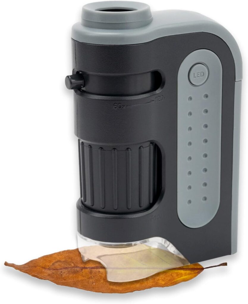 5 Pocket Microscopes Perfect for Everyday Use