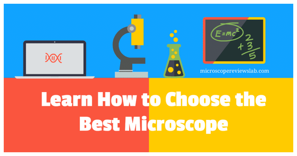 Microscope Reviews - For Work, Education, Fun and Discovery