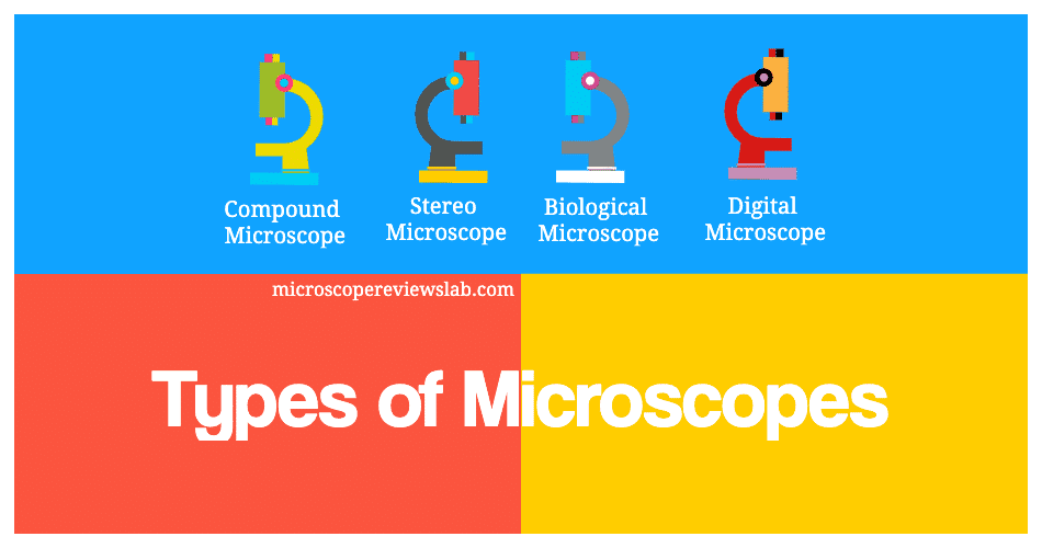 Microscope Reviews - For Work, Education, Fun and Discovery