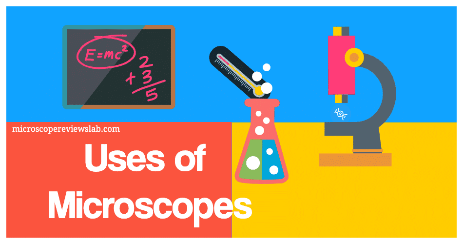 Microscope Reviews - For Work, Education, Fun and Discovery